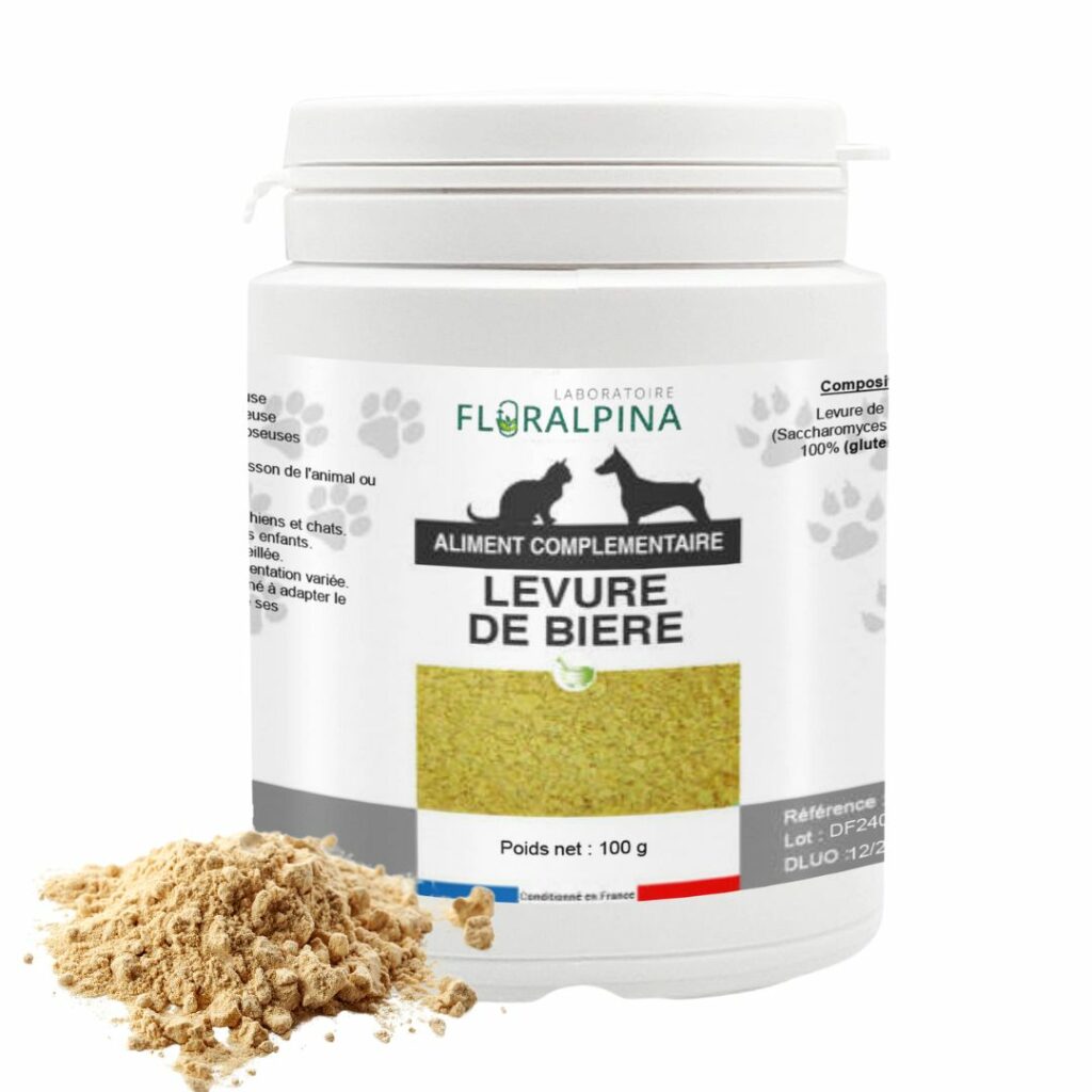 Quelle Quantité De Levure De Bière Pour 500G De Farine – FJCY